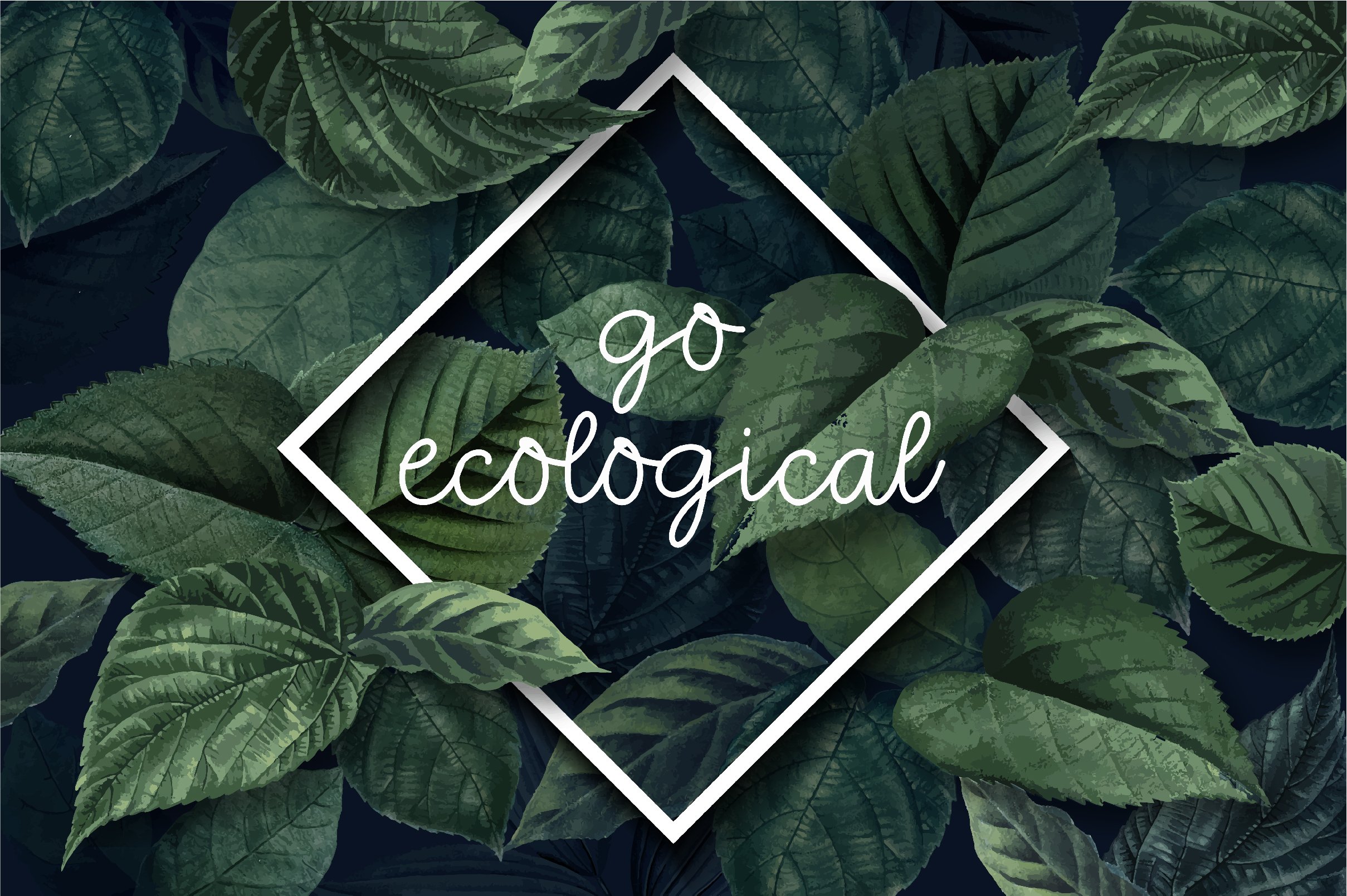 Shiro (548967) | Handwritten | Font Bundles