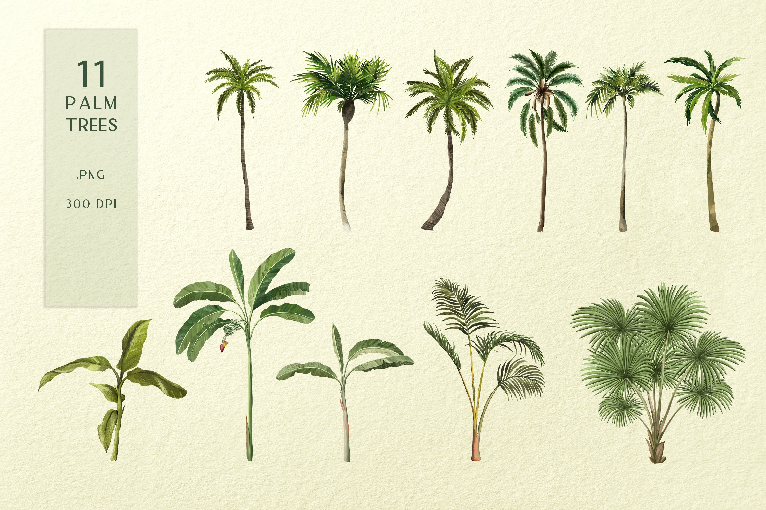Palm Trees Clipart, Jungle clipart, tropical clipart (515596 ...