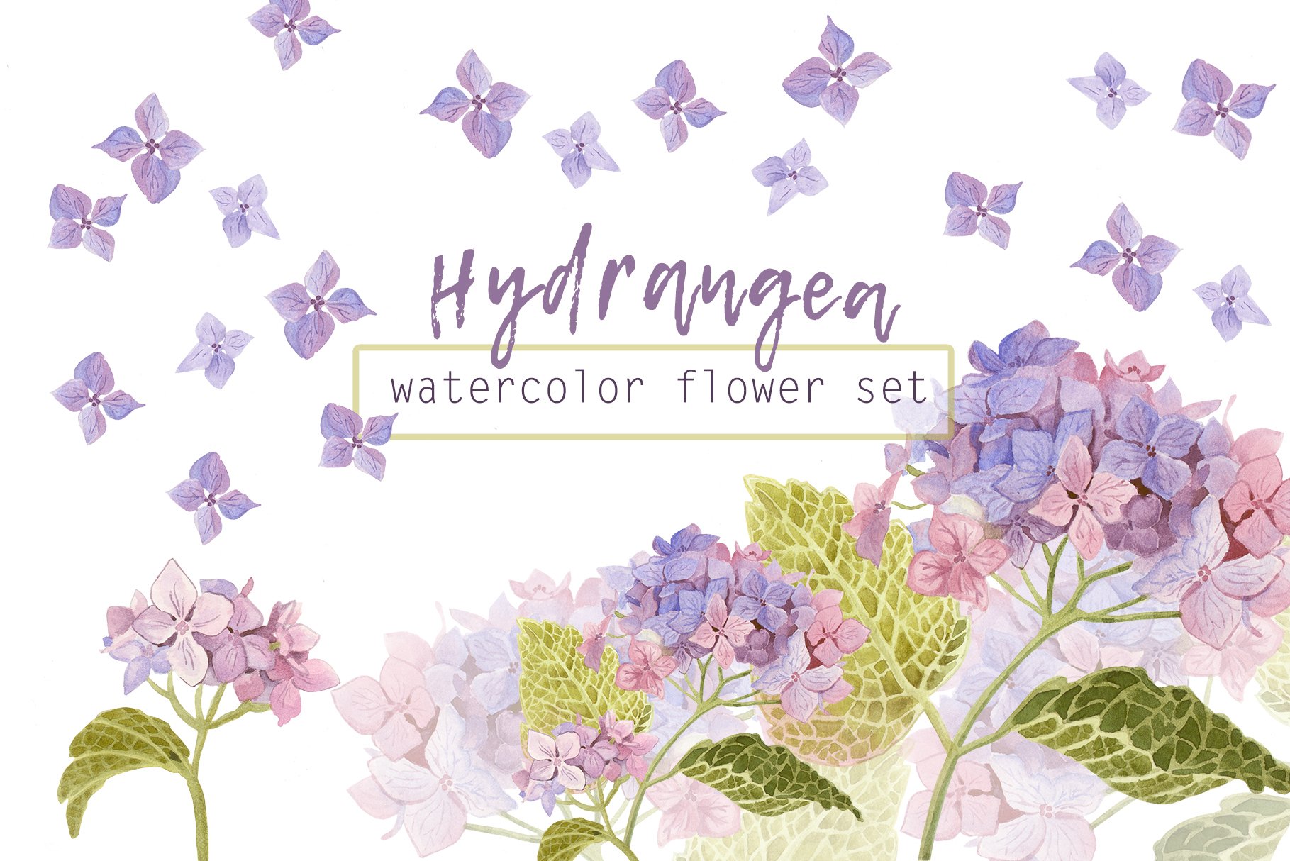 Watercolor flowers of hydrangea (1443933) | Clipart | Design Bundles