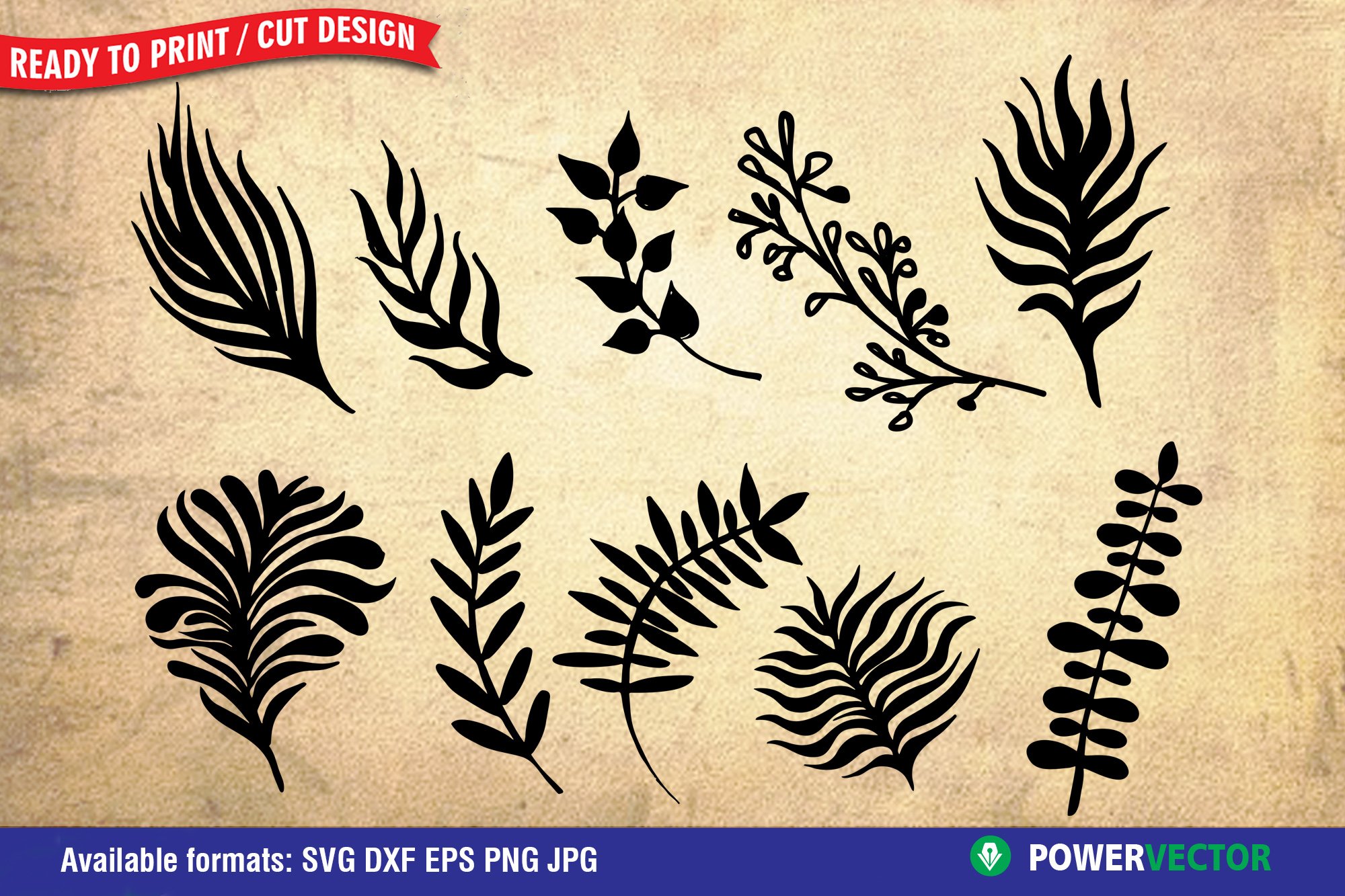 Leaves Dxf | Leaf SVG for Silhouette, Cricut Cutting (533485) | SVGs ...