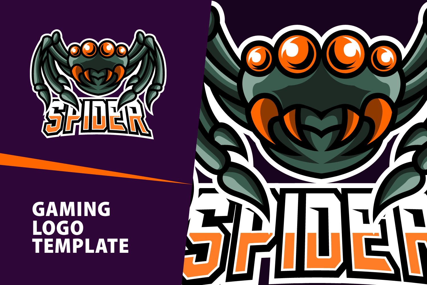 Spyder Clothing Logo