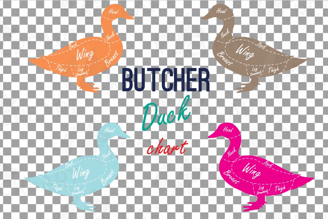 Butcher duck diagram clip art, digital duck chart, duck cuts (109360 ...