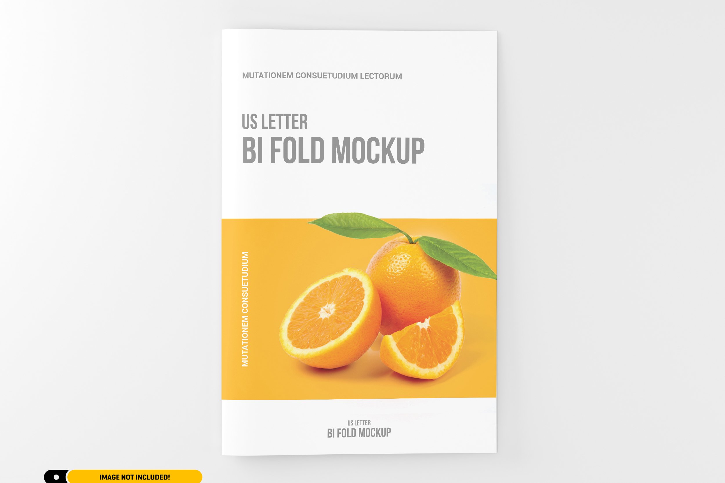 US Letter Bifold Brochure Mockup (361998) | Mock Ups | Design Bundles
