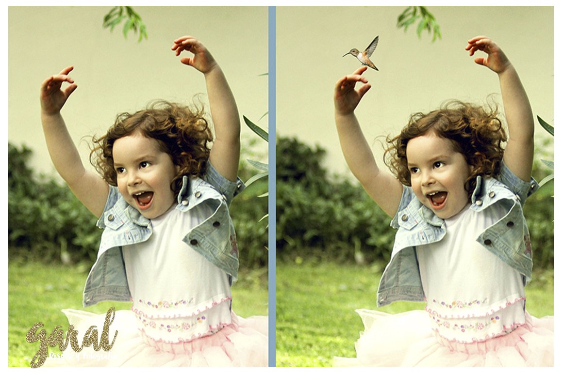 HUMMINGBIRDS Photo Overlays, 12 PNG Collection (489475) | Animals ...