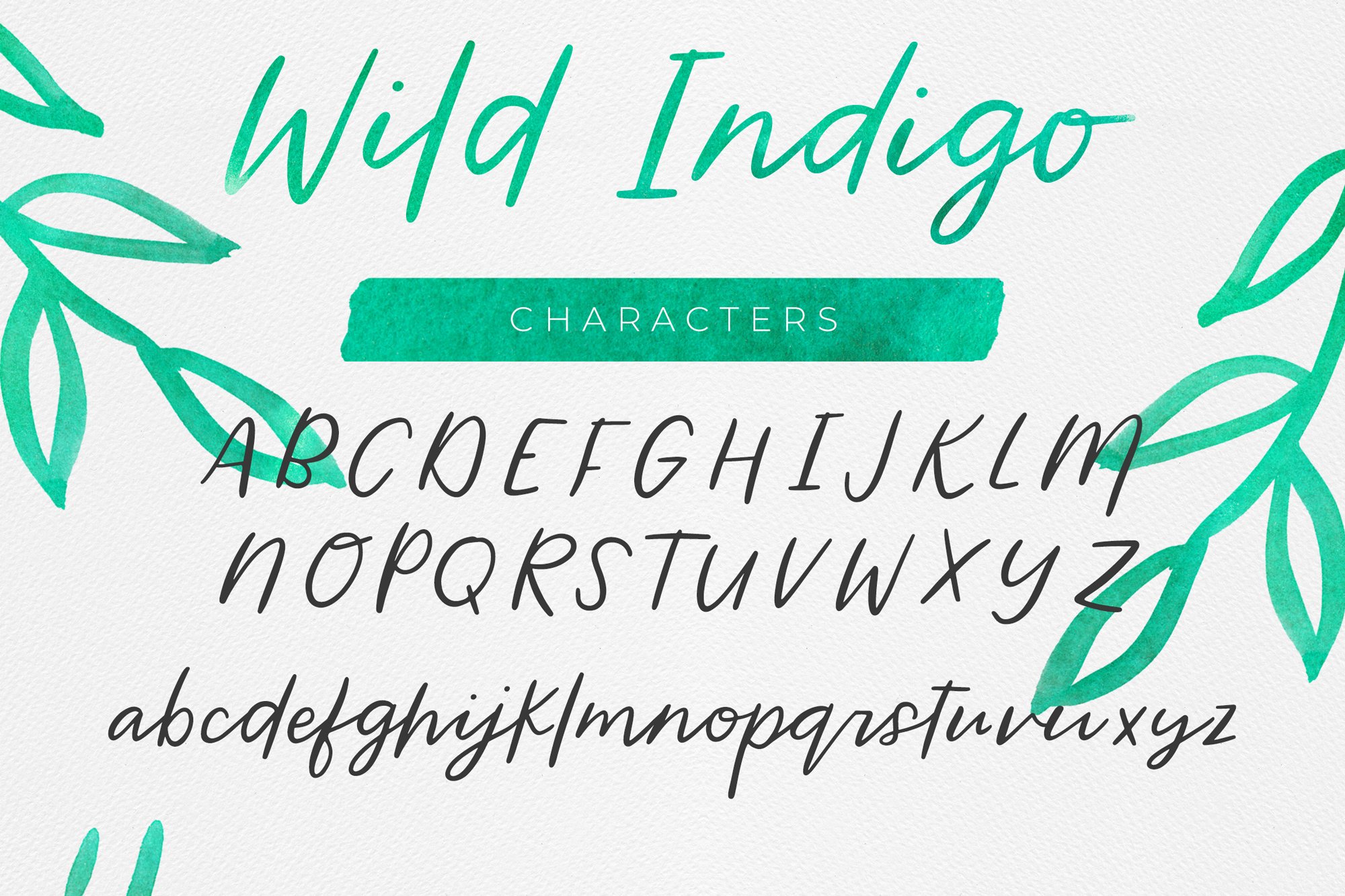 Wild Indigo Script Font (89370) | Script | Font Bundles