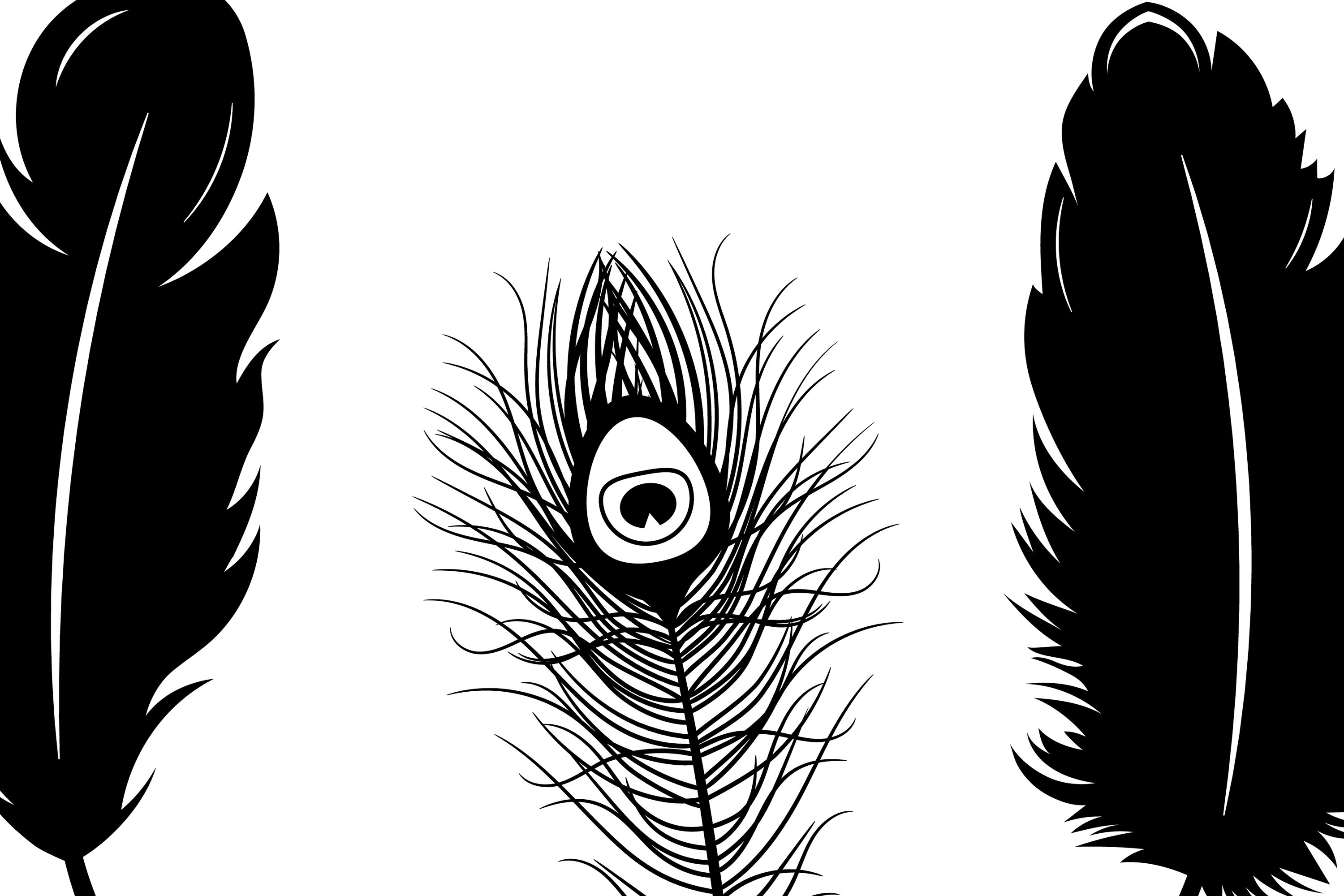 Feather Svg files | Feather Clipart (184384) | Cut Files | Design Bundles