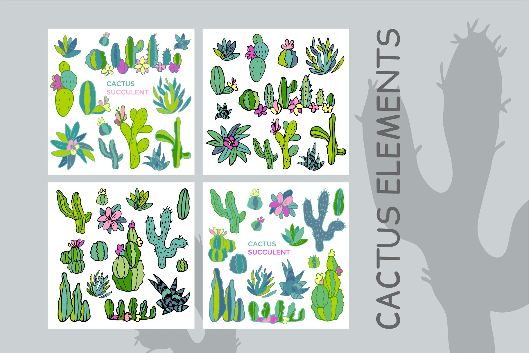 Cactus set. Cactus and succulent. Patterns and elements. (275437 ...