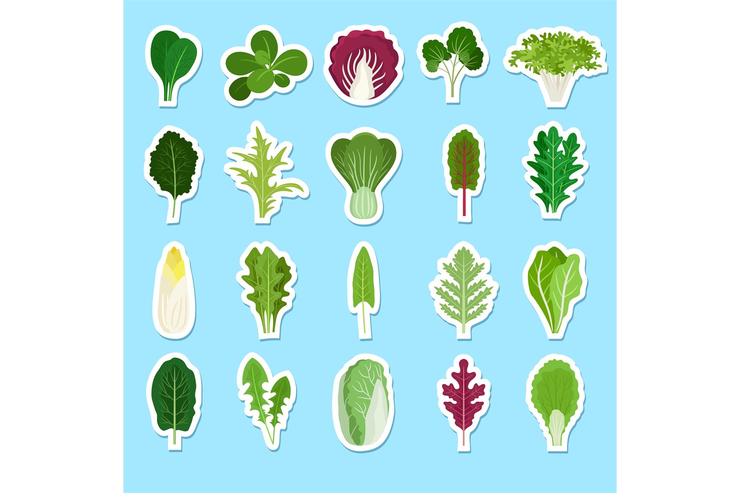 Cartoon green salad leaves stickers (835558) | Illustrations | Design ...