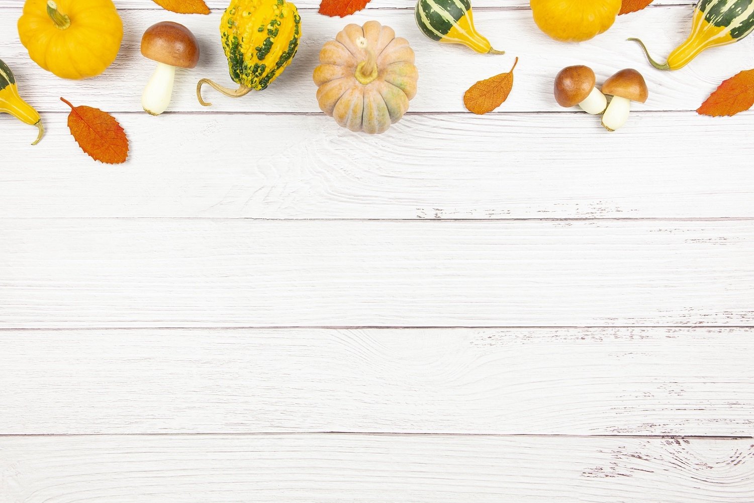 Fall flat lay mockup with pumpkins on wooden background. (2182039 ...