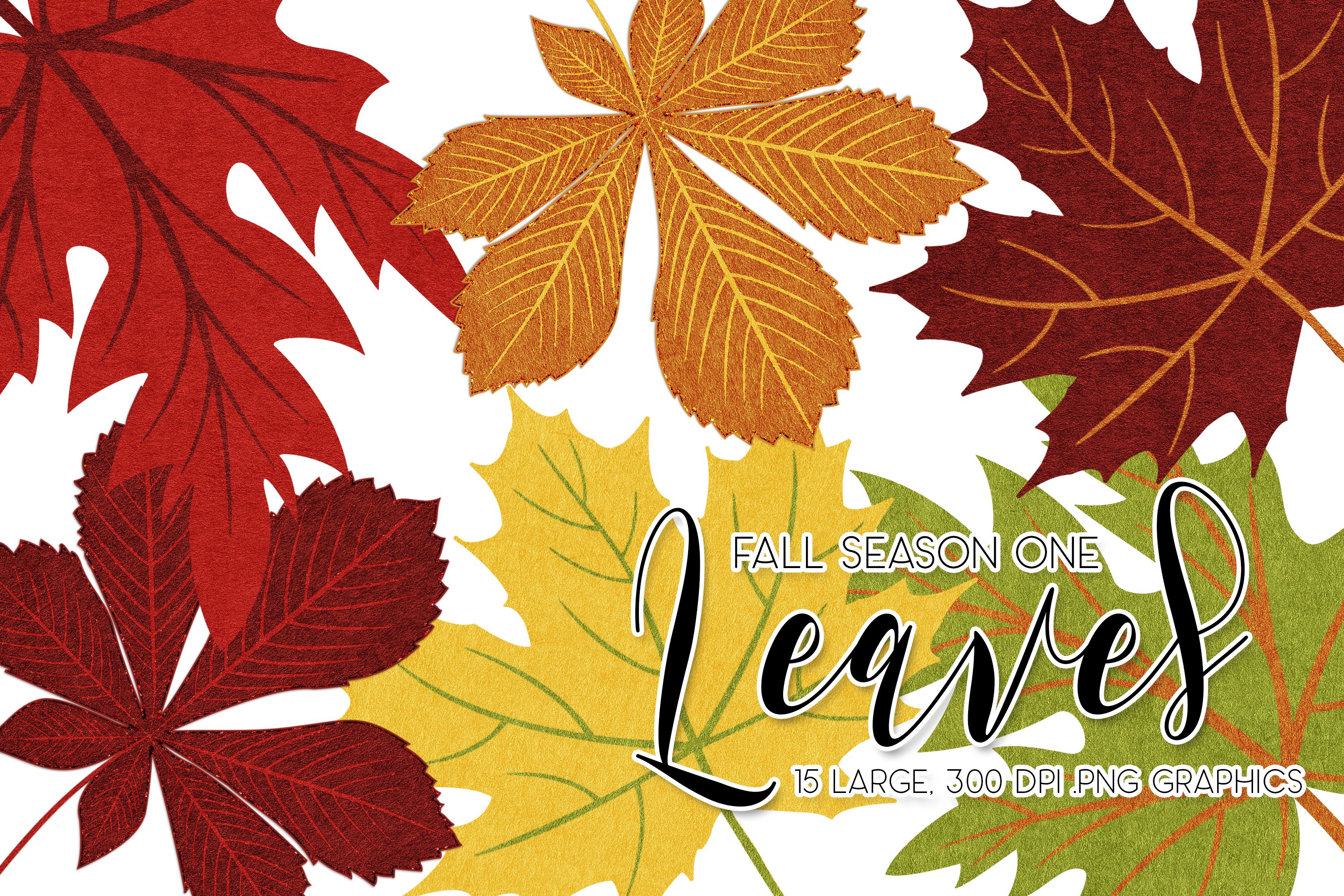 Fall Season Leaves