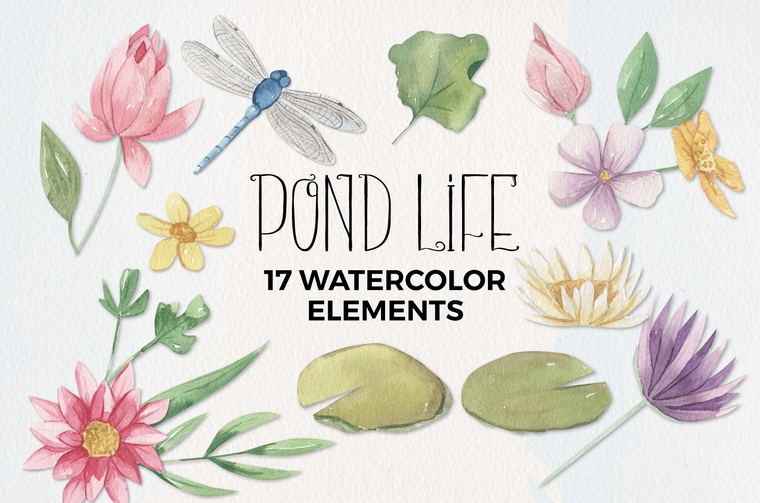 Pond Life Floral Watercolor Elements 17 Dragonfly Leaves