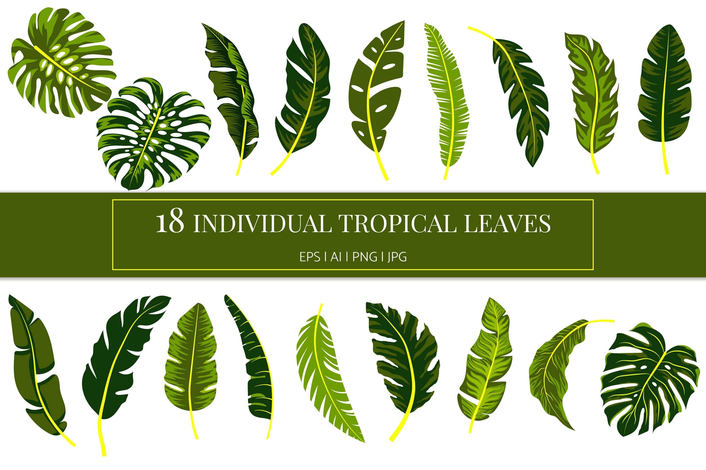 10 Seamless tropical patterns. Tropical leaves (535354) | Patterns ...