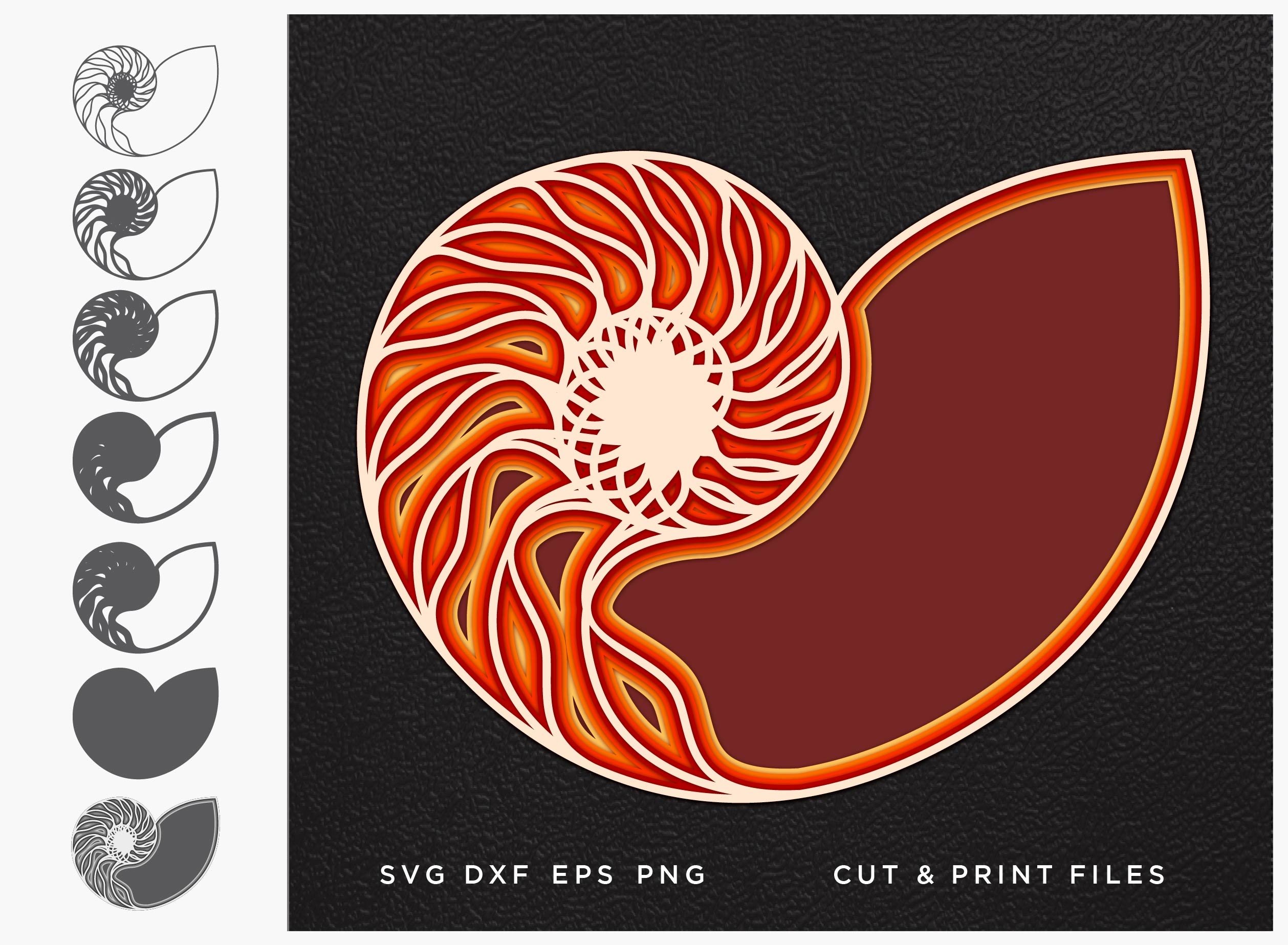 Nautilus svg, Cut file Mandala, Multilayer, Layered svg, 3D (542290 ...