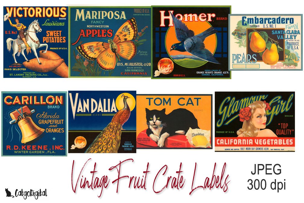 Vintage Fruit Labels
