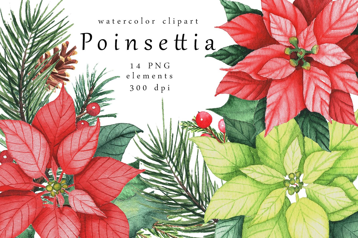Poinsettia Clipart Free