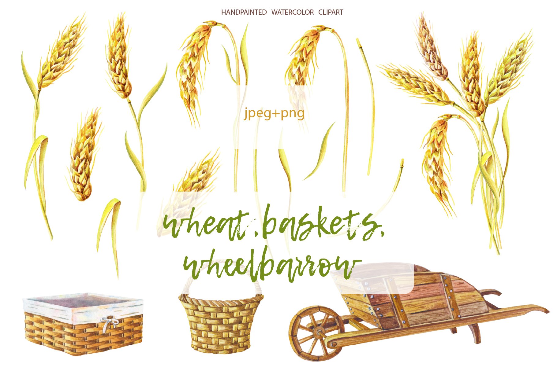 HARVEST TIME.WATERCOLOR (306188) | Illustrations | Design Bundles