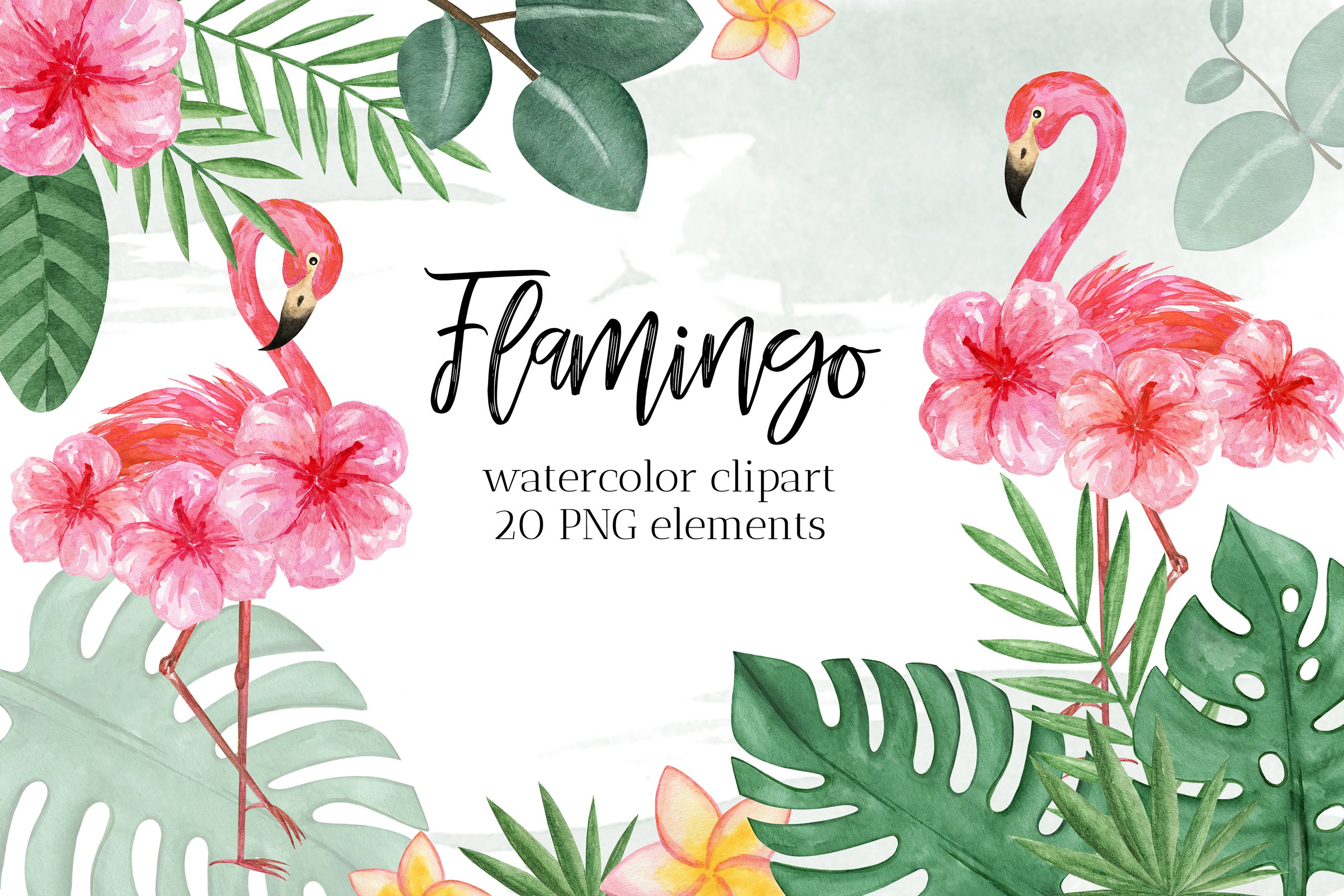 Flamingo With Money Clipart