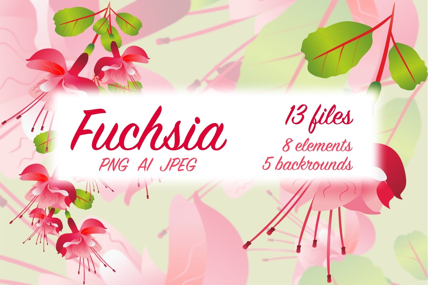 Fuchsia illustration (1416734) | Illustrations | Design Bundles