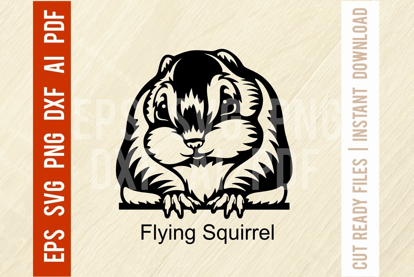 Flying Squirrel Vector