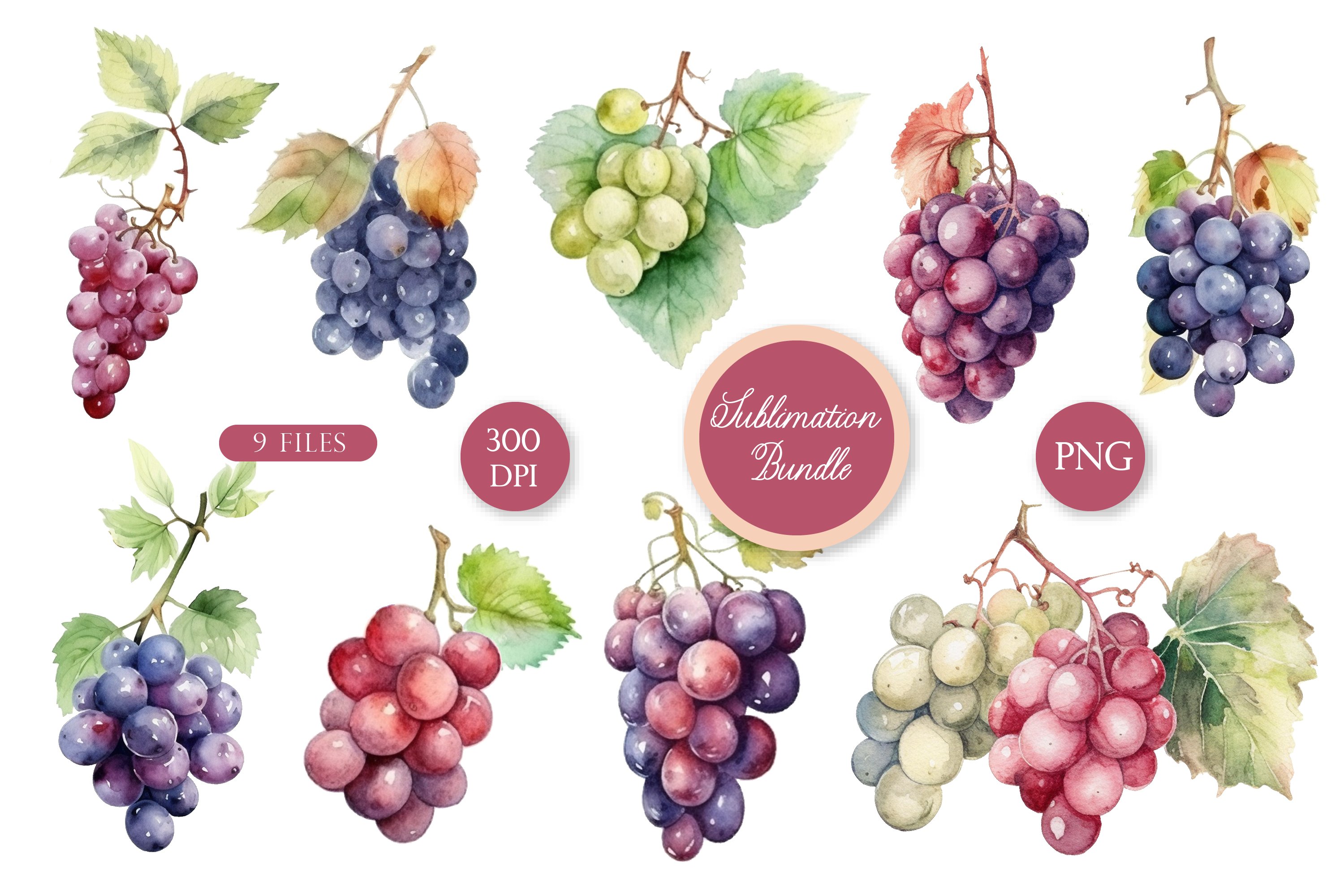 Grapes Images Clip Art