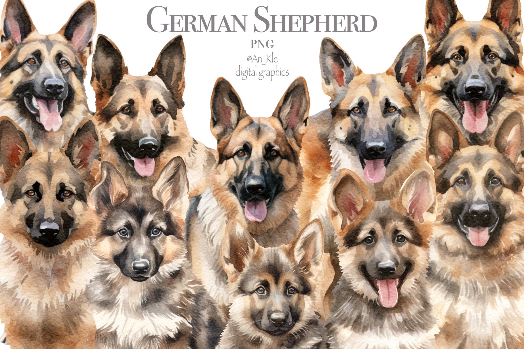 Different Species Of German Shepherd