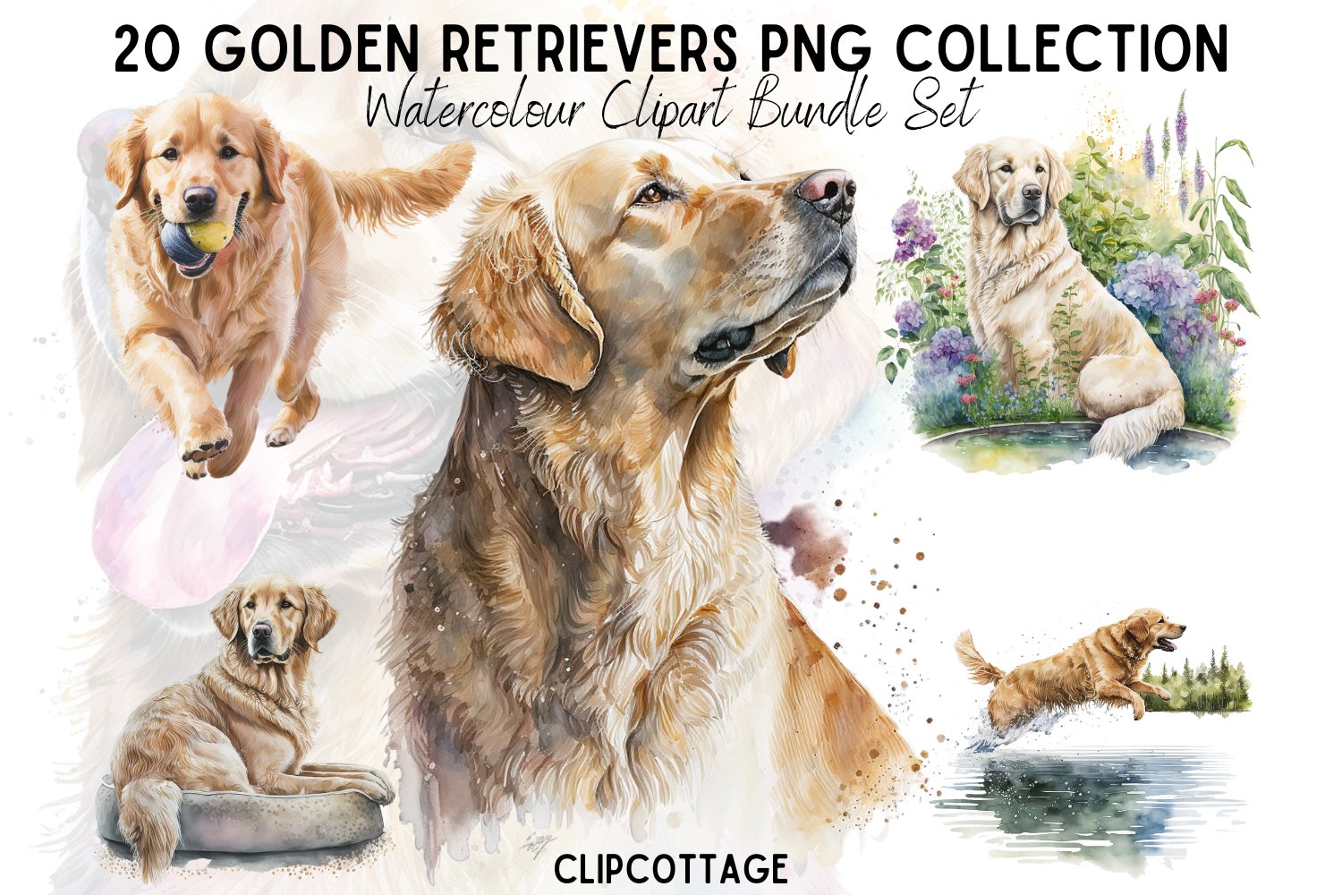 Everything About Golden Retrievers | ppgbbe.intranet.biologia.ufrj.br