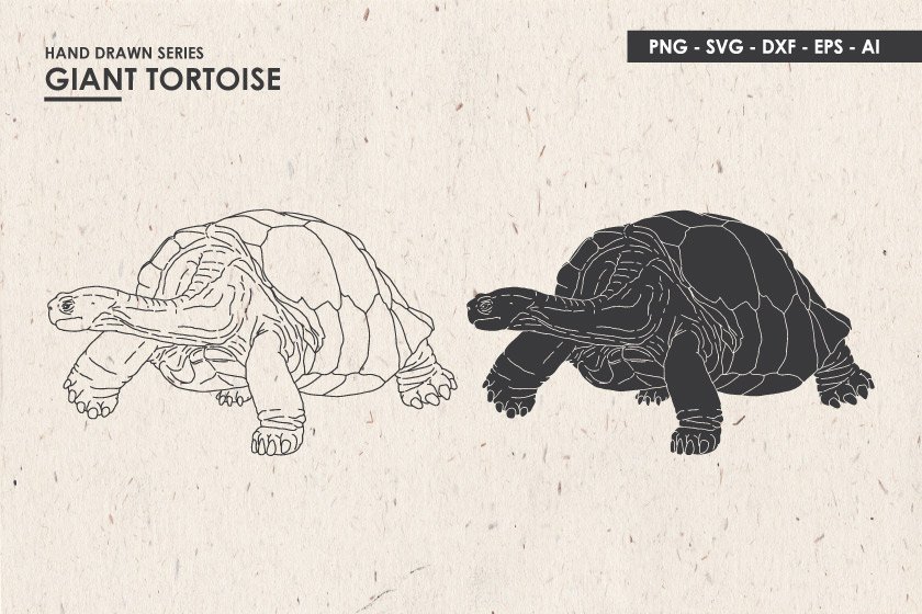 Hand Drawn Giant Tortoise SVG | print, transfer, & other