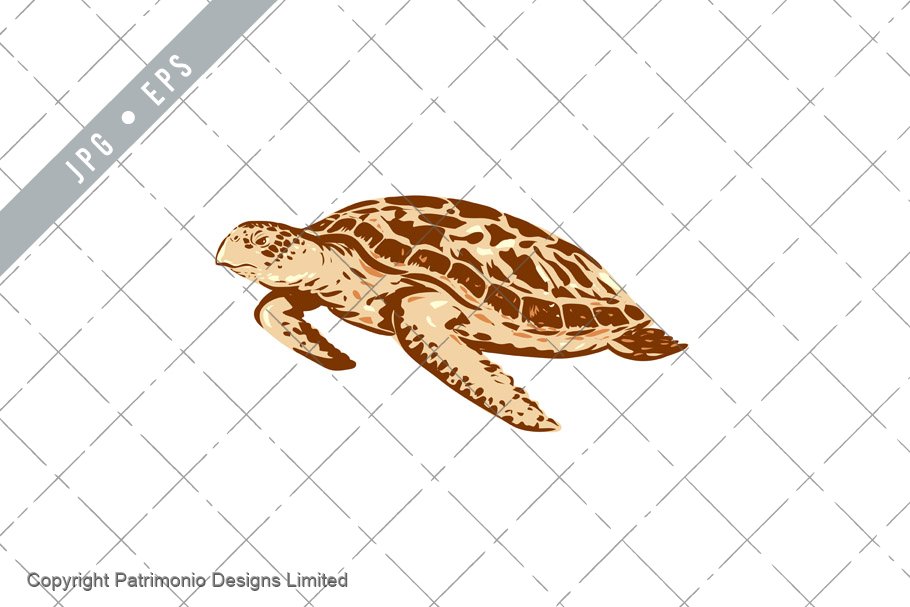 Sea Turtle Side View