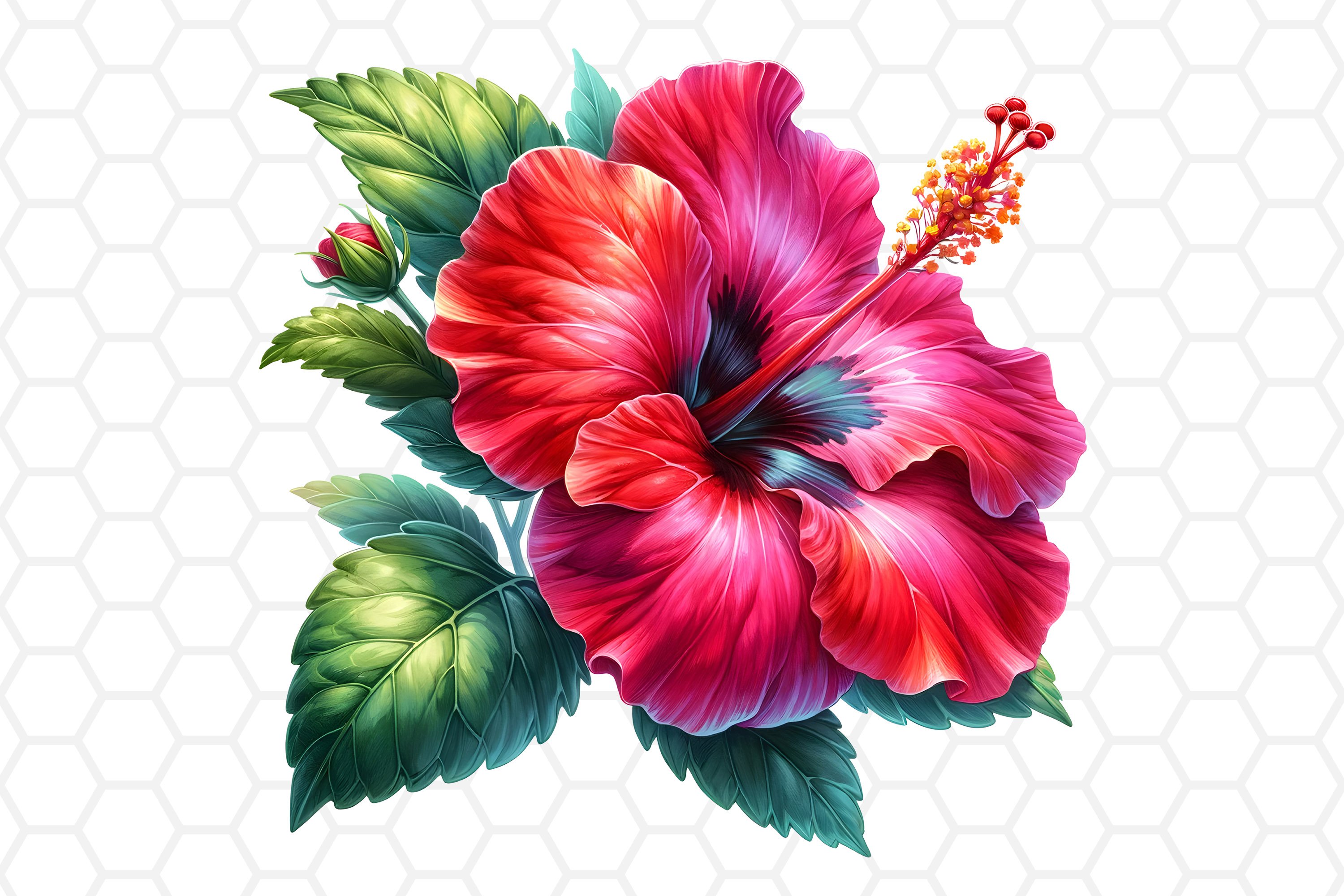Hibiscus Flower Clip Art Hibiscus Flower Clipart