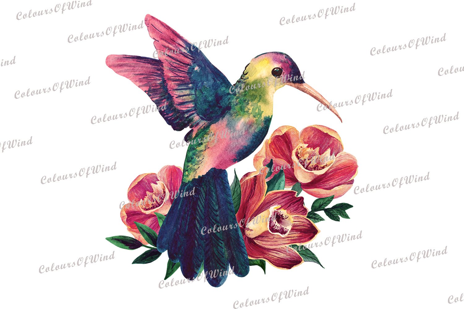 Watercolor Hummingbird Flowers