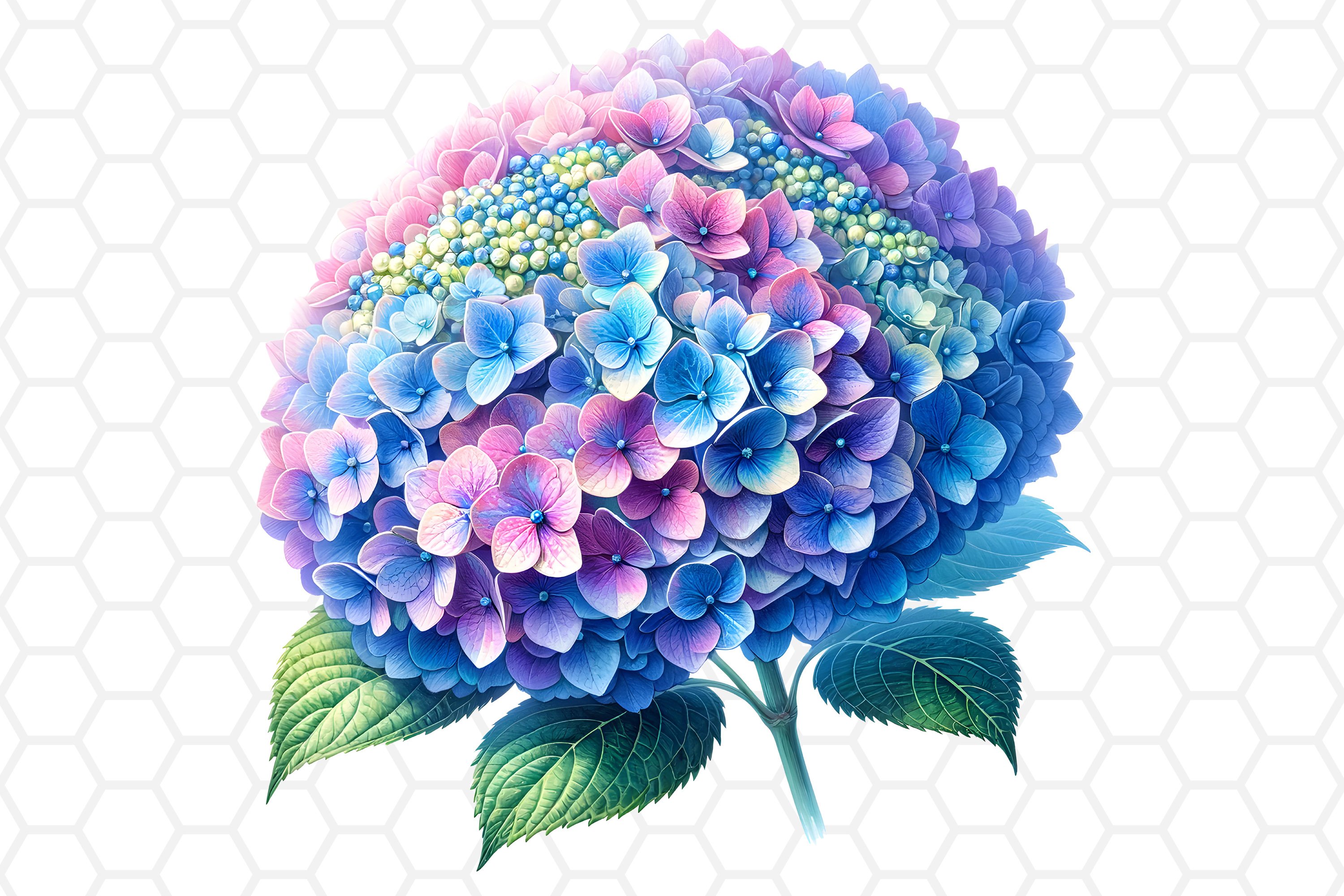 Hydrangea Flowers Clip Art