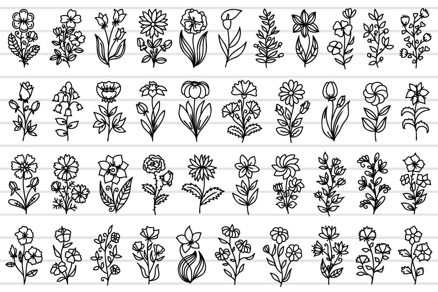 Flower Line Text Art Chrysanthemum Clipart/Line Chrysanthemum