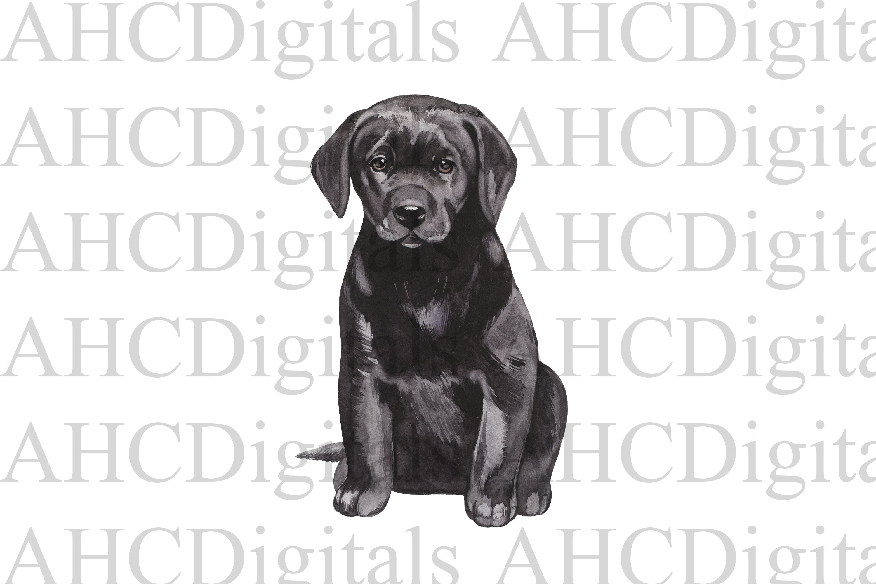 Lab Head Silhouette