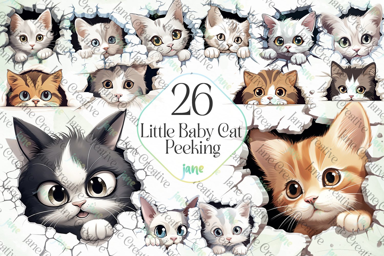Little Baby Kittens