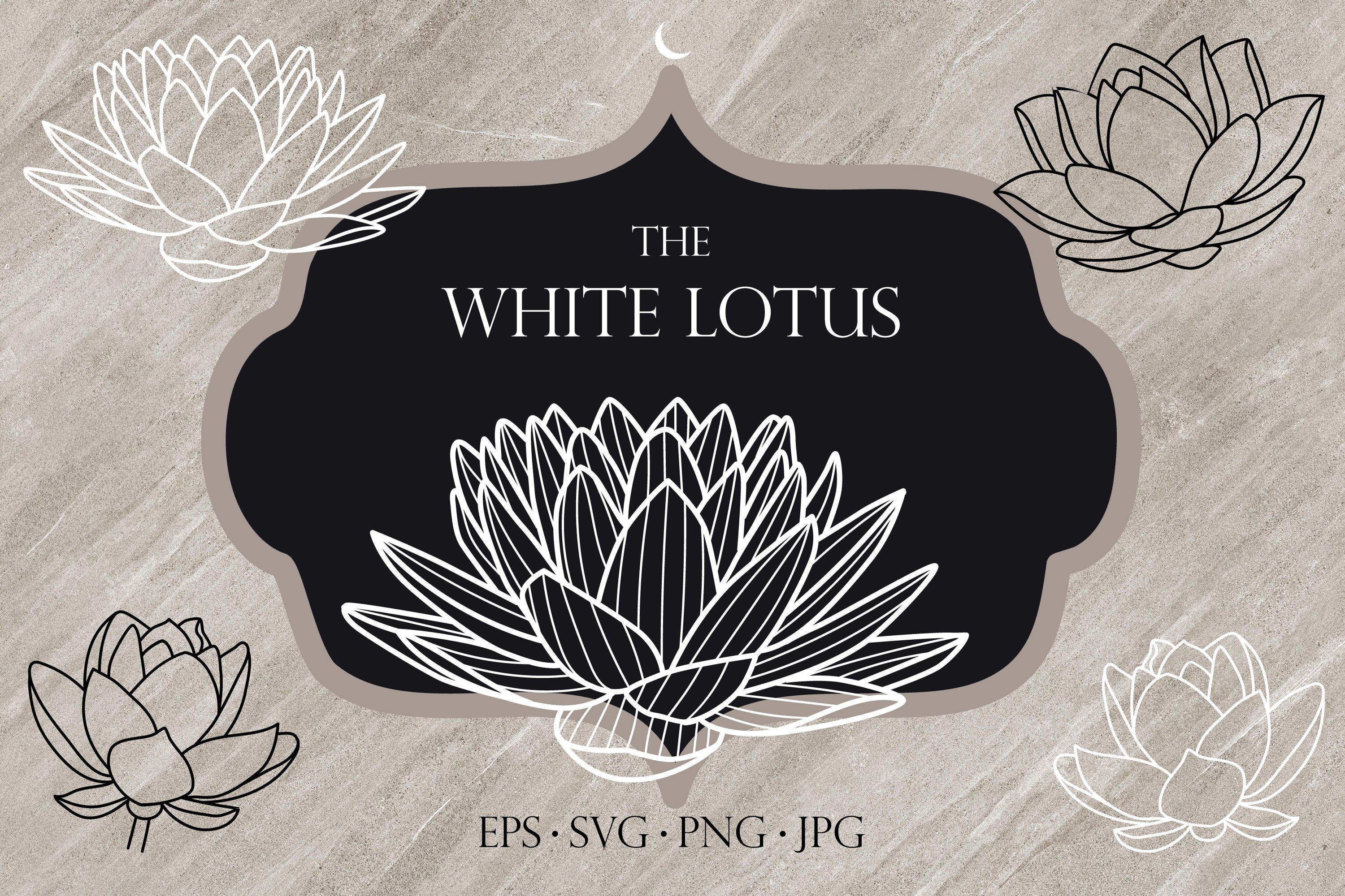 White Lotus Flower Symbolism | Best Flower Site