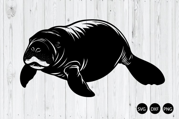 Manatee Face Clipart