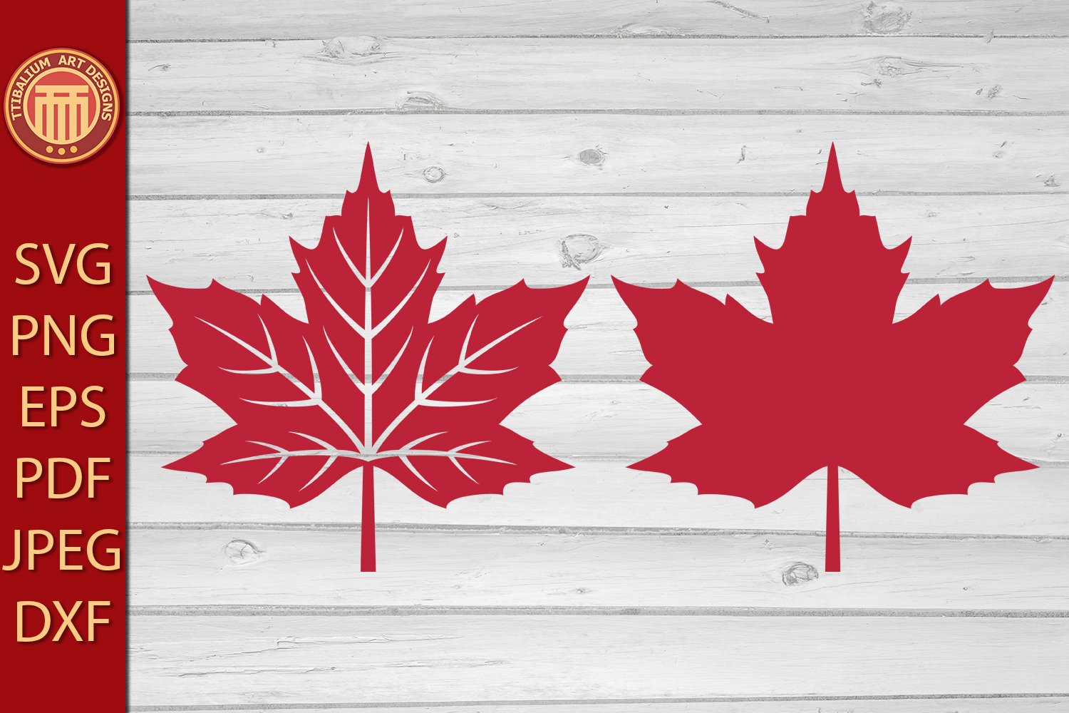 Maple Leaf - eps, jpg, dxf, svg, pdf, png files (2264470) | Vectors ...
