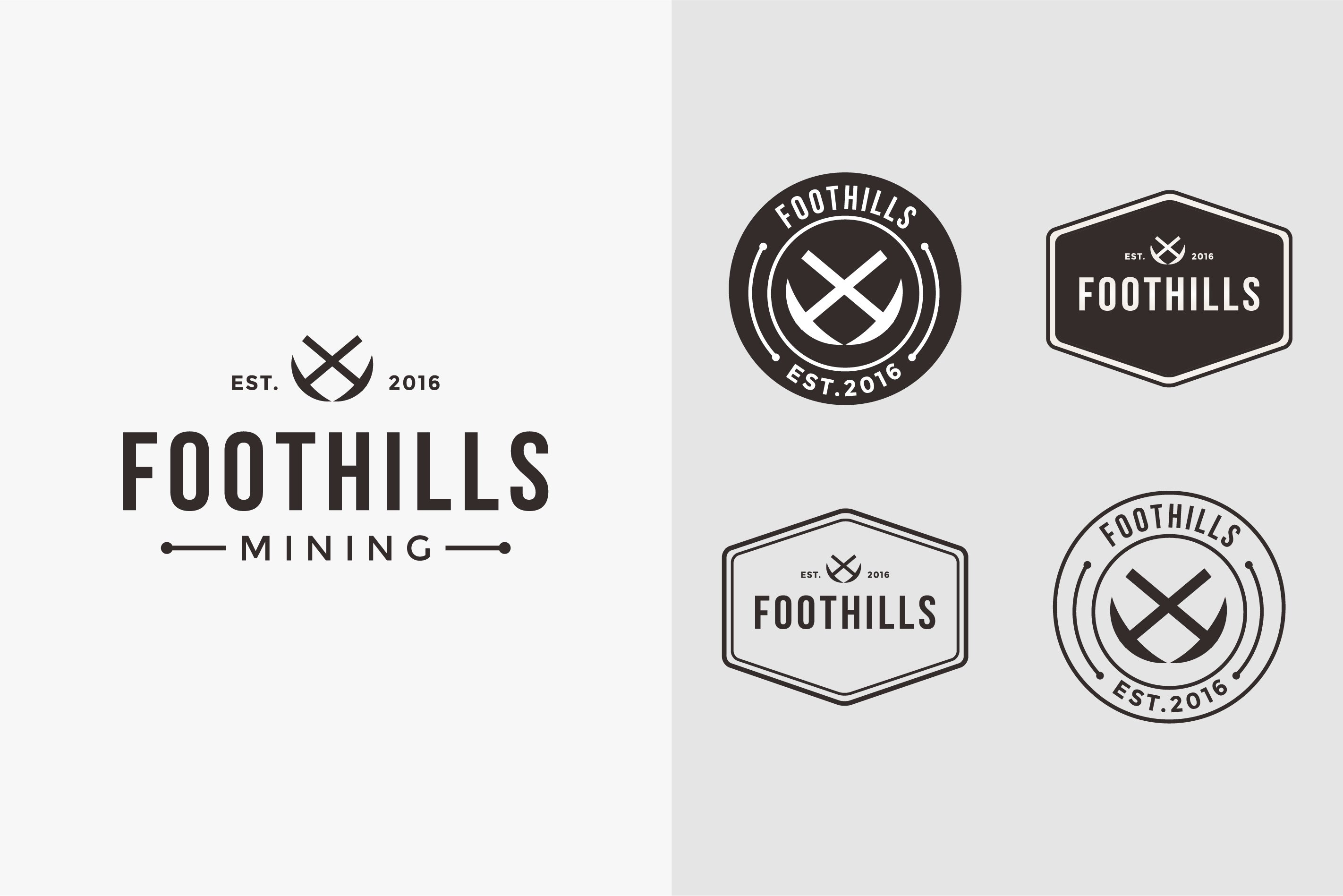 Ultimate Frisbee Logo Design