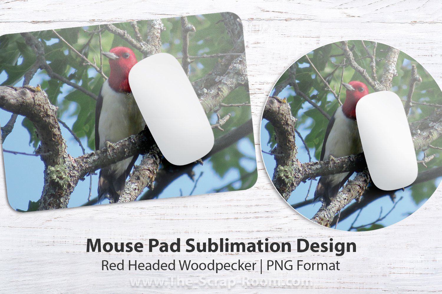 Sublimation Examples In Nature