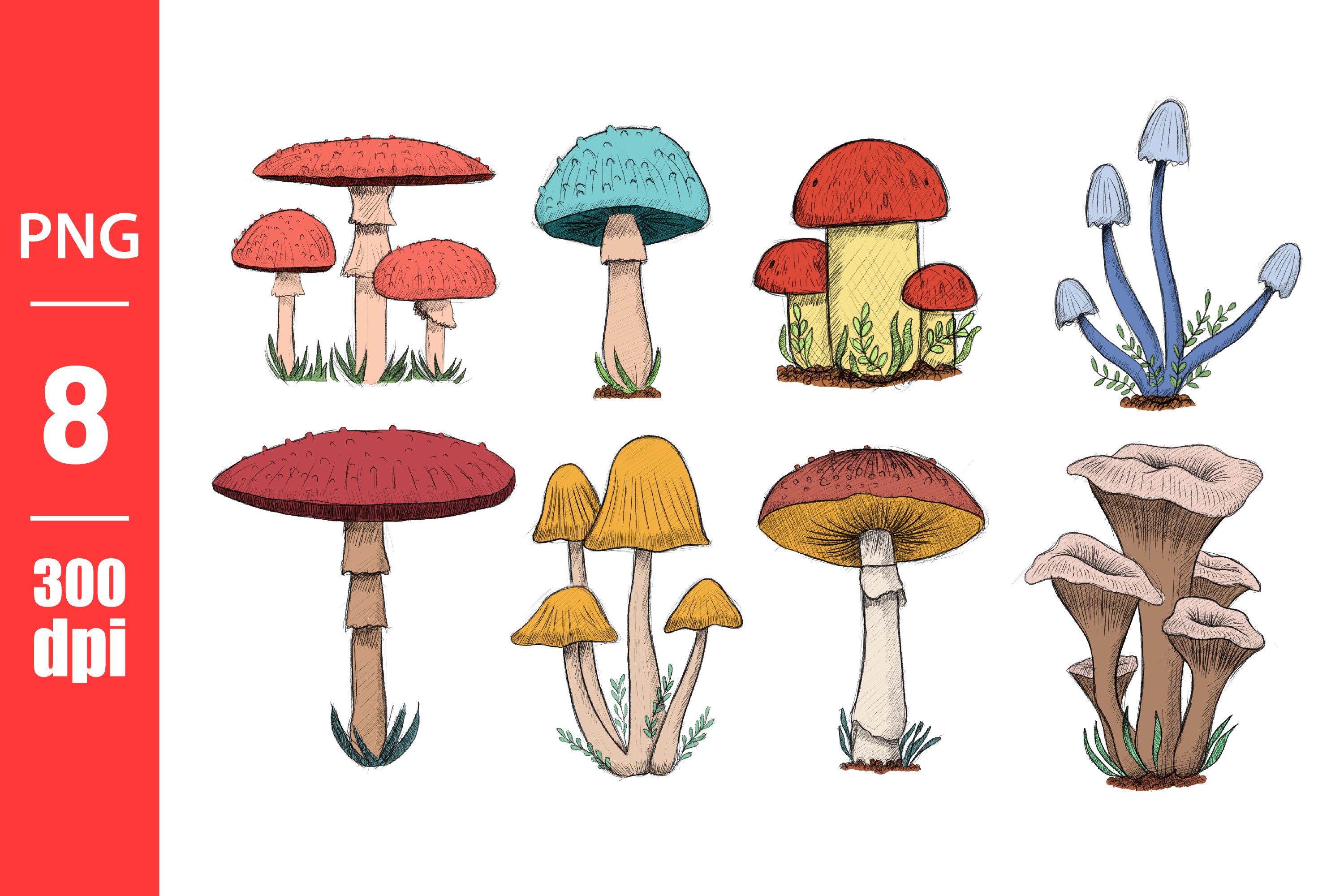Colorful Mushrooms Drawings