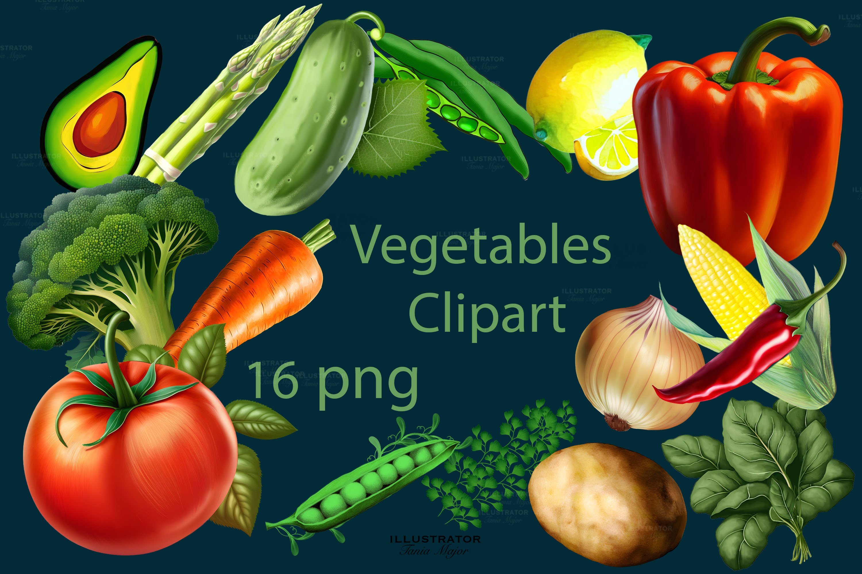 Different Types Of Food Clipart Free