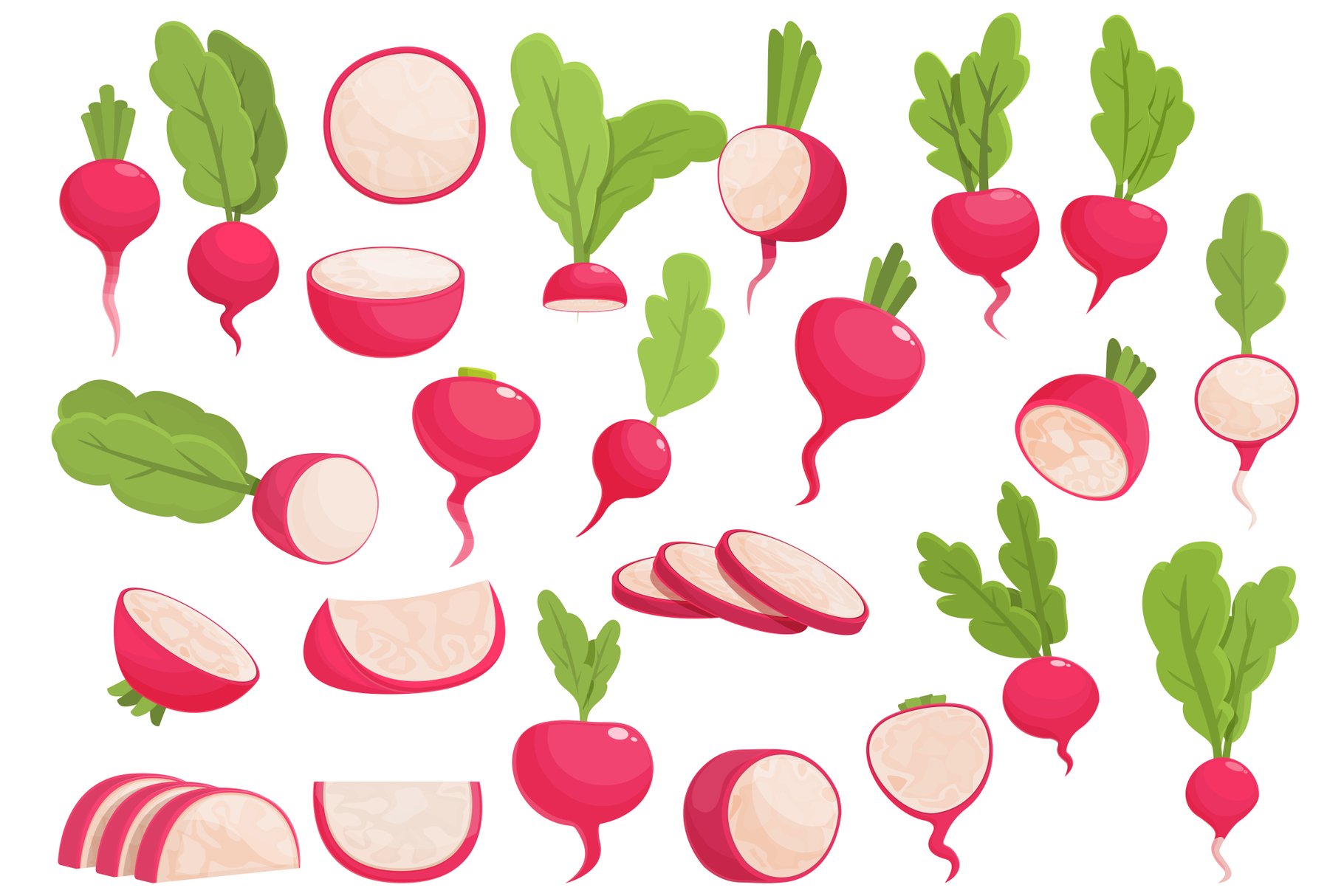 Radish icons set cartoon vector. Slice agriculture (2238255) | Icons ...