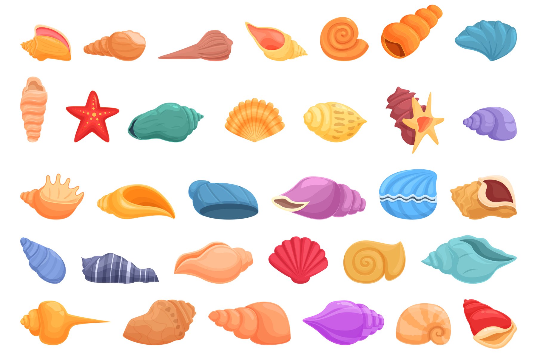 Seashell Cartoon