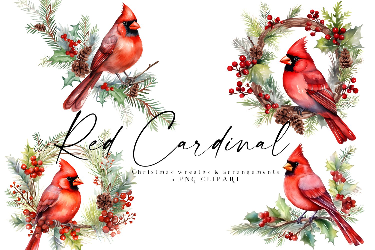Red Bird Christmas Clip Art Watercolor Christmas Bird Red Cardinal