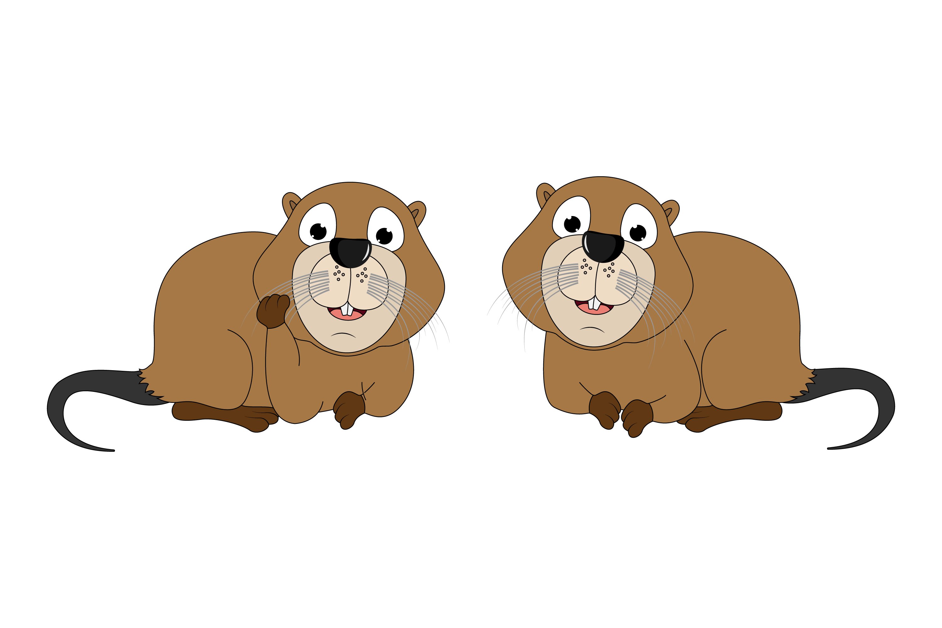 Nutria Animal