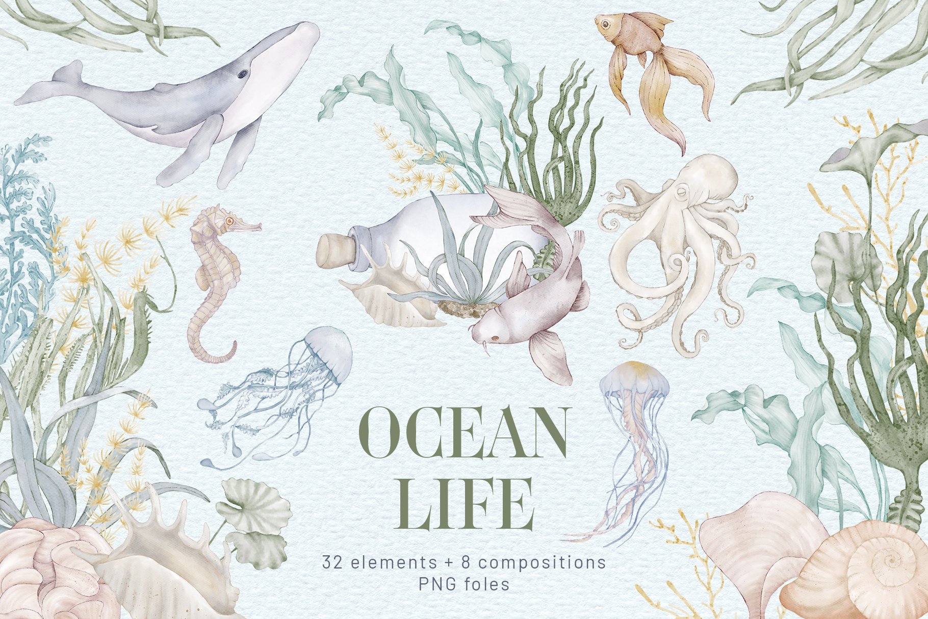 Ocean Animals Underwater Clipart