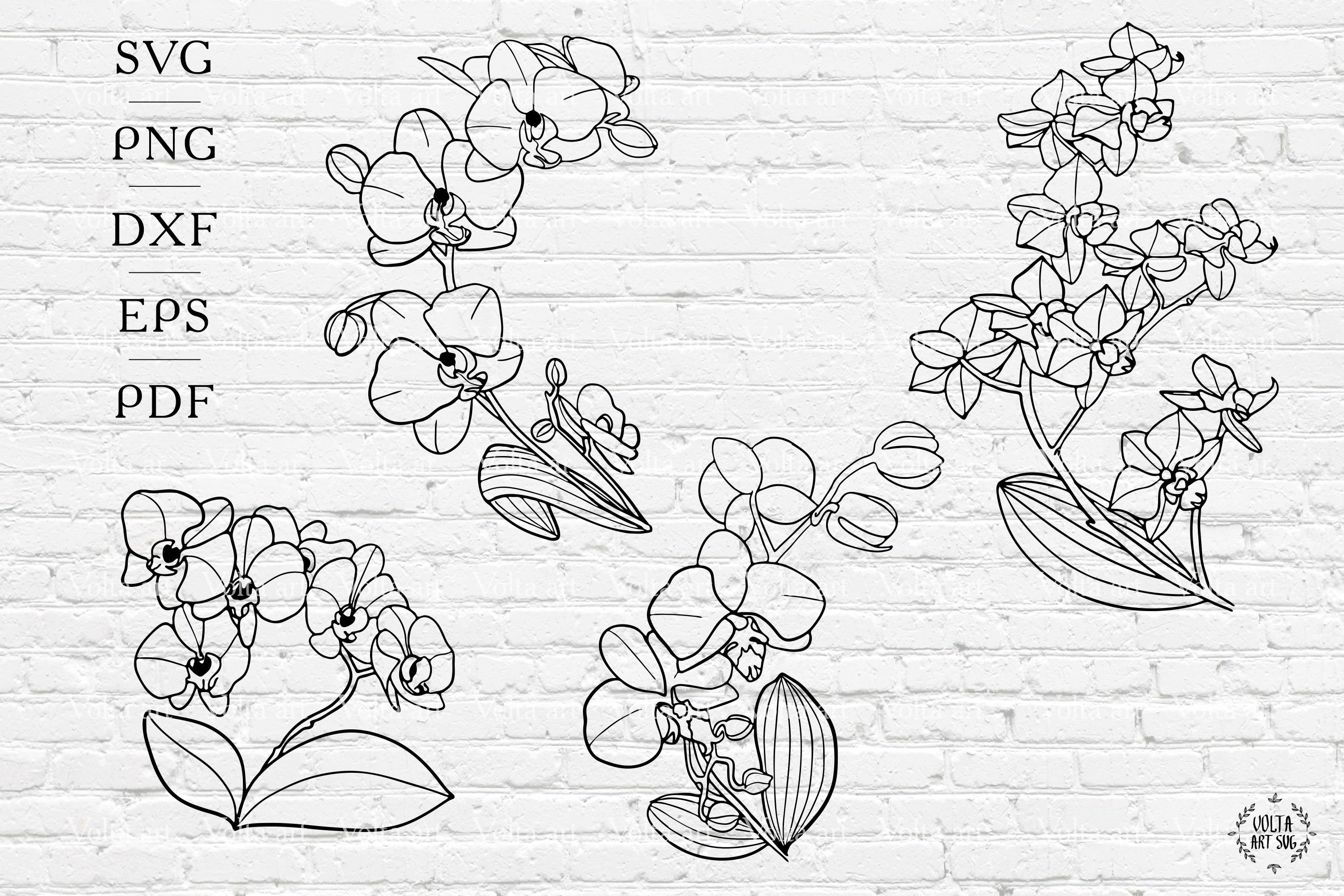 Orchid Branch Silhouette