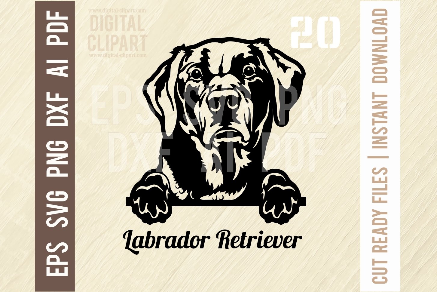 Lab Head Silhouette Decal