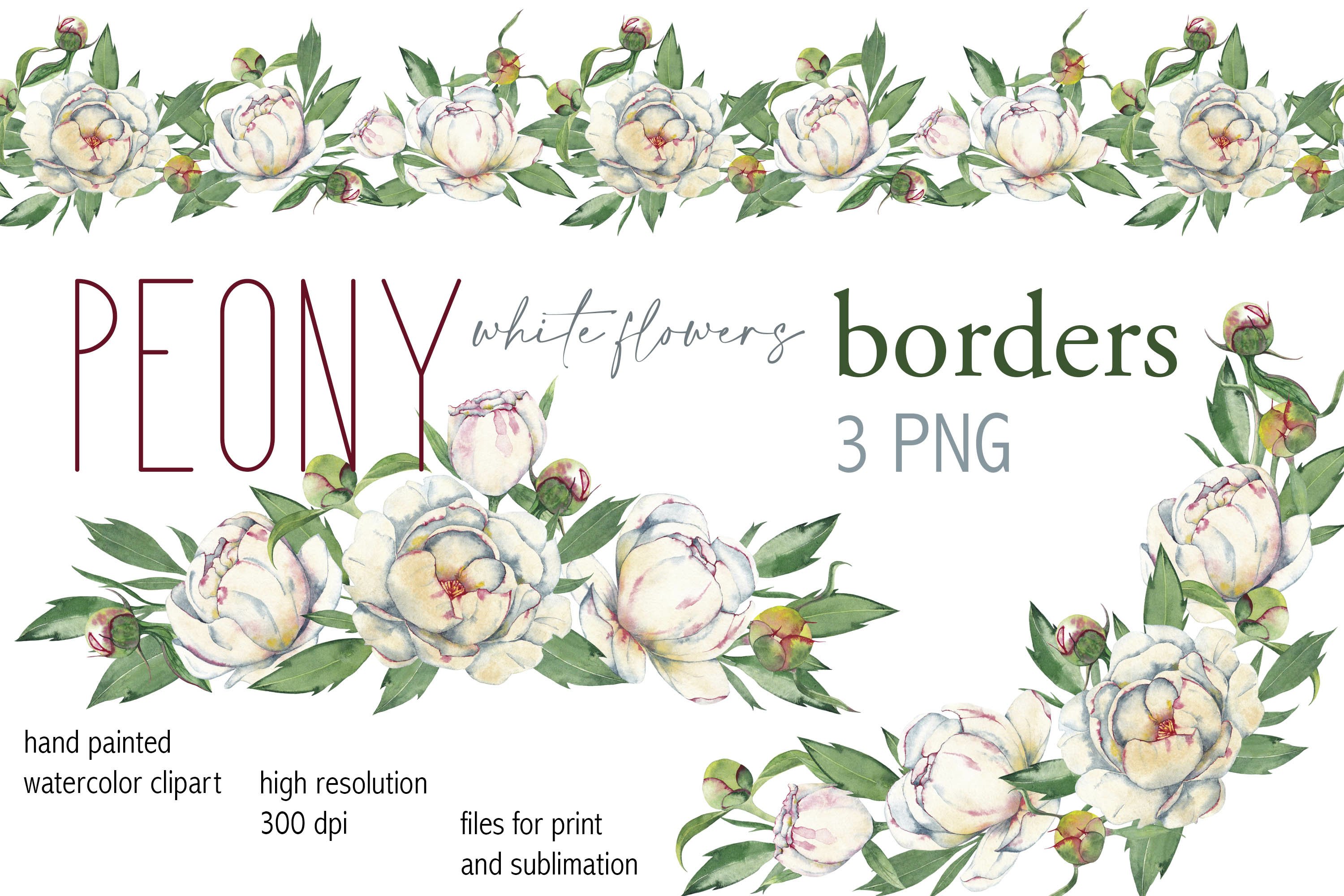 Watercolor Peony Clip Art Border Watercolor Blush White Peonies Wreath