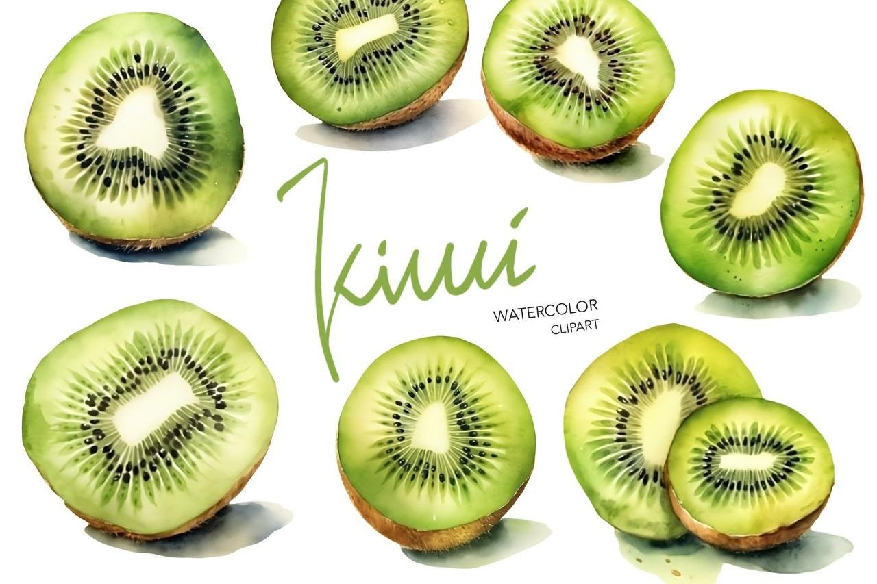 Kiwi Fruit Clipart